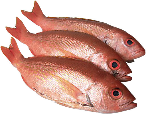 Peshku i mirë për të ruajtur sistemin e kujtesës - Keshilla.NET