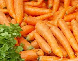 Dobitë e karotës - Keshilla.NET