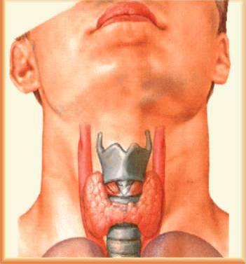 Mjekimi dhe simptomat e gjëndrave tiroide - Keshilla.NET