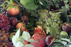 Produktet BIO dhe rëndësia e tyre - Keshilla.NET