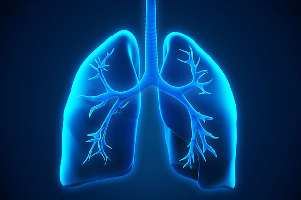 Pastroni mushkëritë tuaja - Keshilla.NET