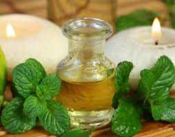 Ja vajrat që e forcojnë sistemin imunitar - Keshilla.NET