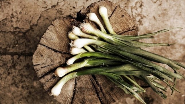 Qepa e re plot minerale dhe vitamina - Keshilla.NET