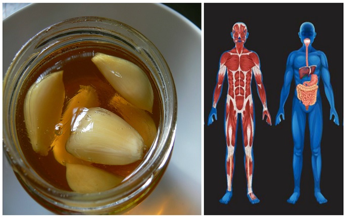 Do të befasoheni me efektin e hudhrës në stomakun bosh - Keshilla.NET