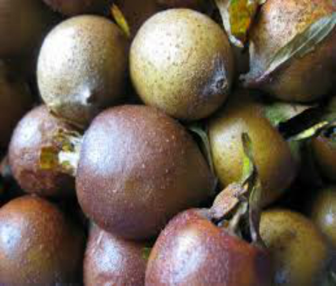 Ja vetitë e mrekullueshme të mushmolles - Keshilla.NET