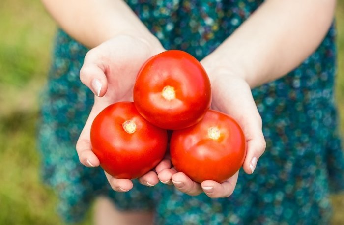 Superfuqitë e domates - Keshilla.NET